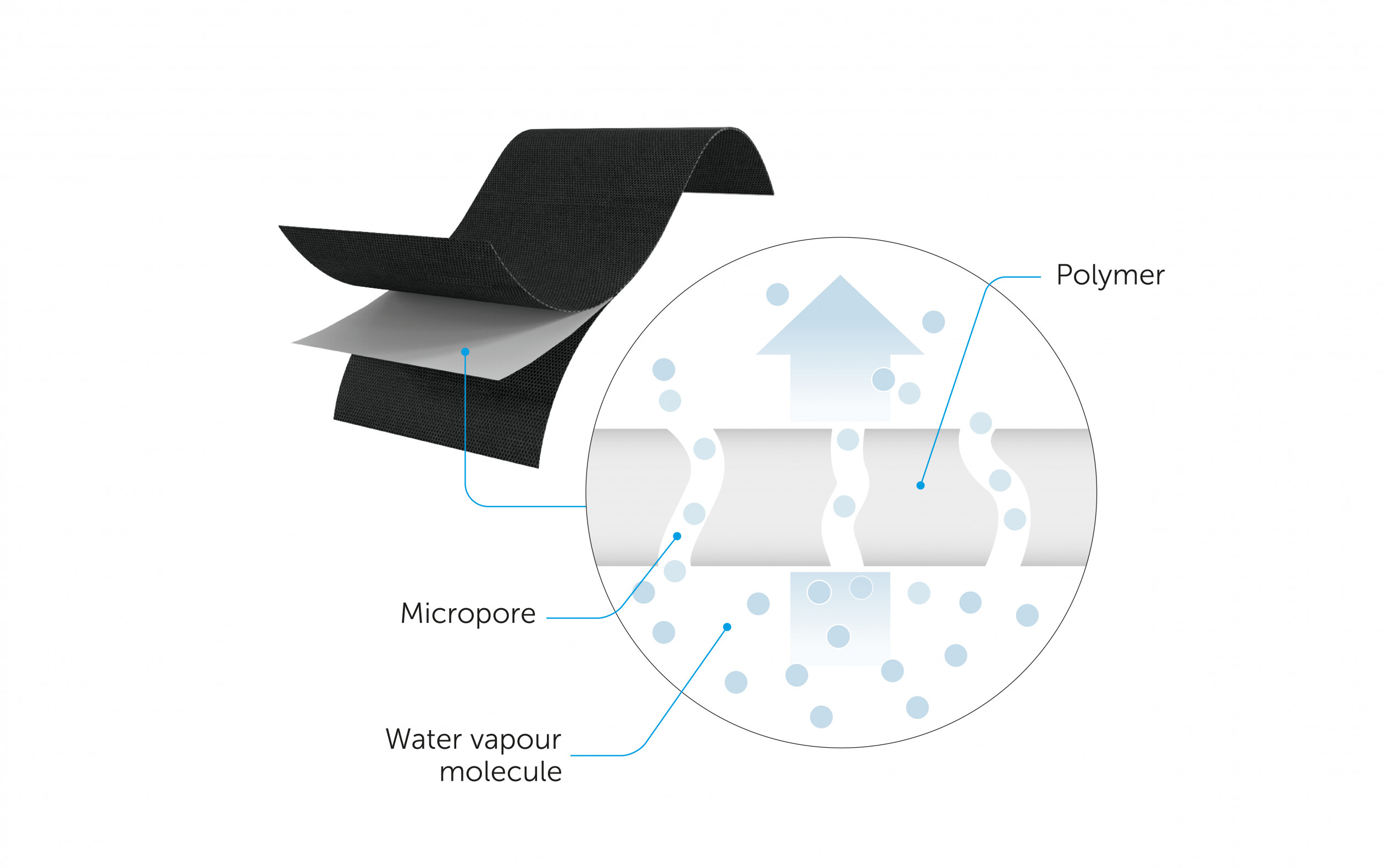 Monolithic membranes vs. microporous membranes