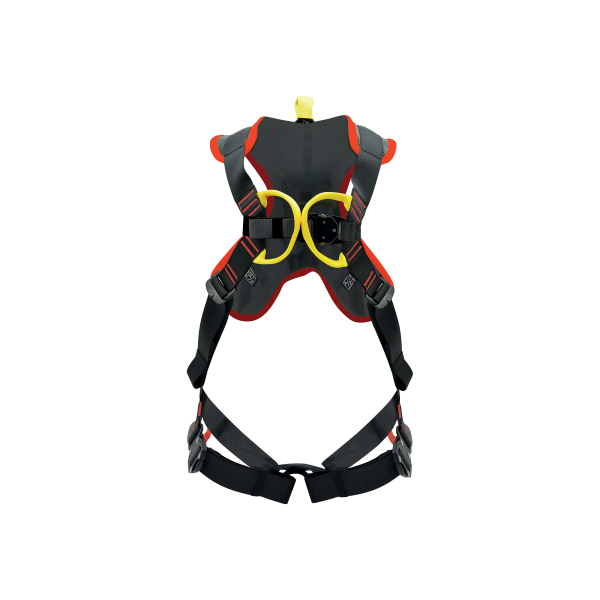 COMPLETE PROFESSIONAL HARNESS FOR FALL PROTECTION SYSTEMS | BIA ...