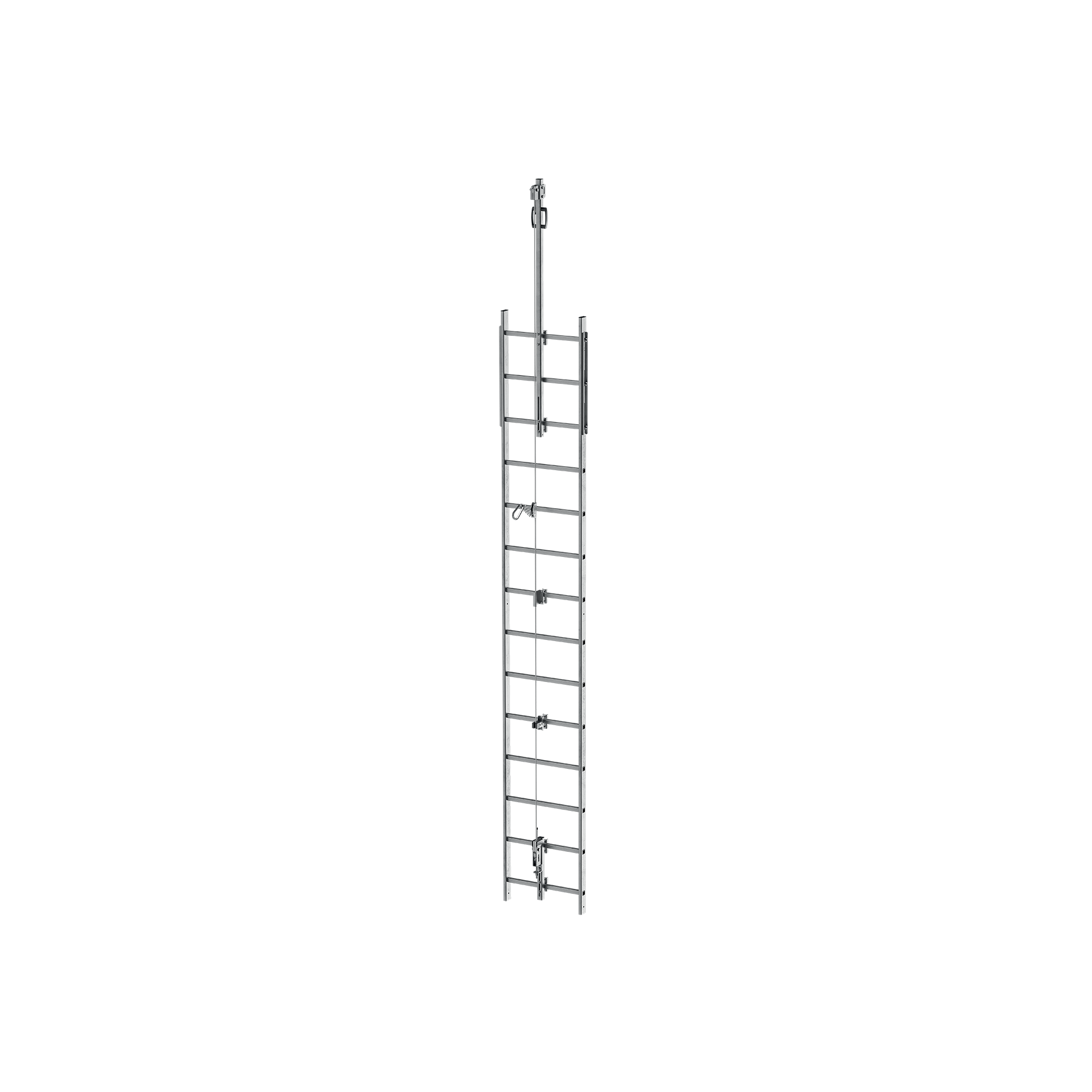 VERTICAL LIFELINE ON LADDERS | VERTIGRIP ON LADDER | ROTHOBLAAS